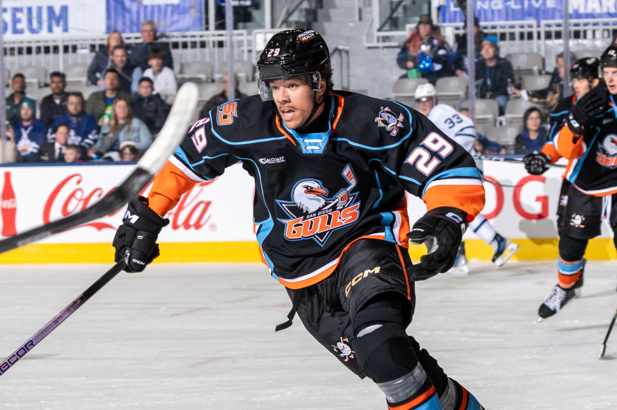 San Diego Gulls at Toronto Marlies - October 12 2024