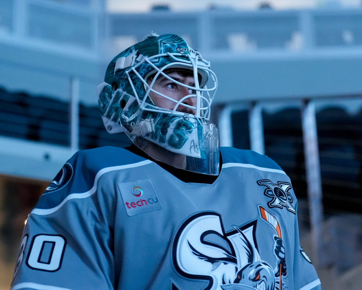 San Diego Gulls at San Jose Barracuda - November 13 2024