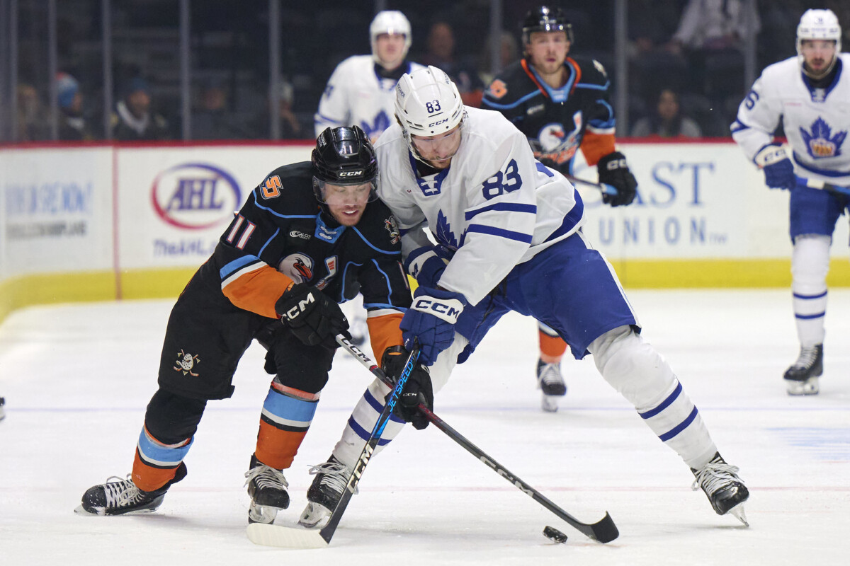 San Diego Gulls vs Toronto Marlies - January 29 2025