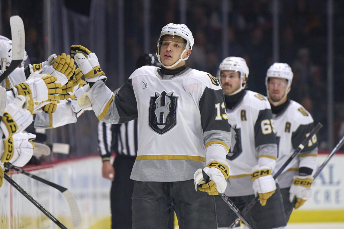 San Diego Gulls vs Henderson Silver Knights - April 16 2025